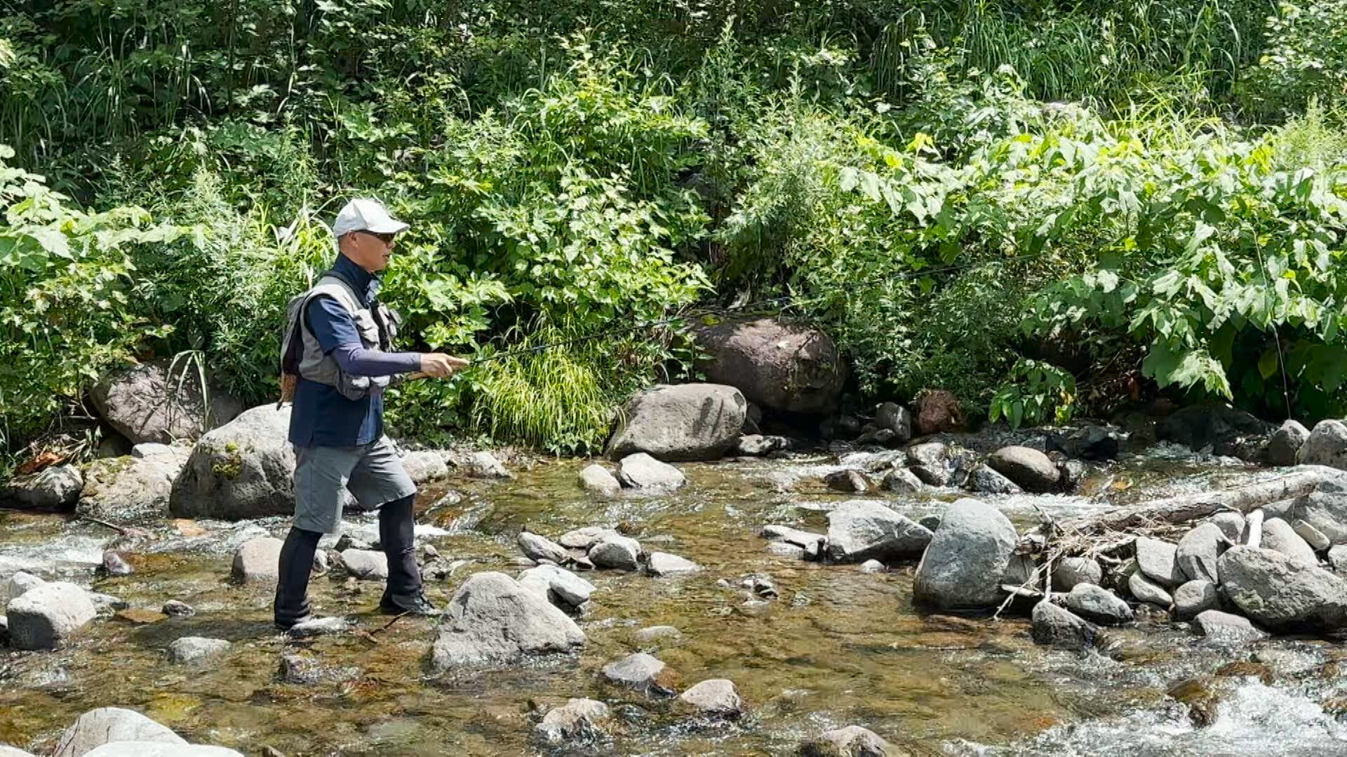 Tenkara Fishing Tour : Native Iwana & Yamame | WaWo Japan Tours