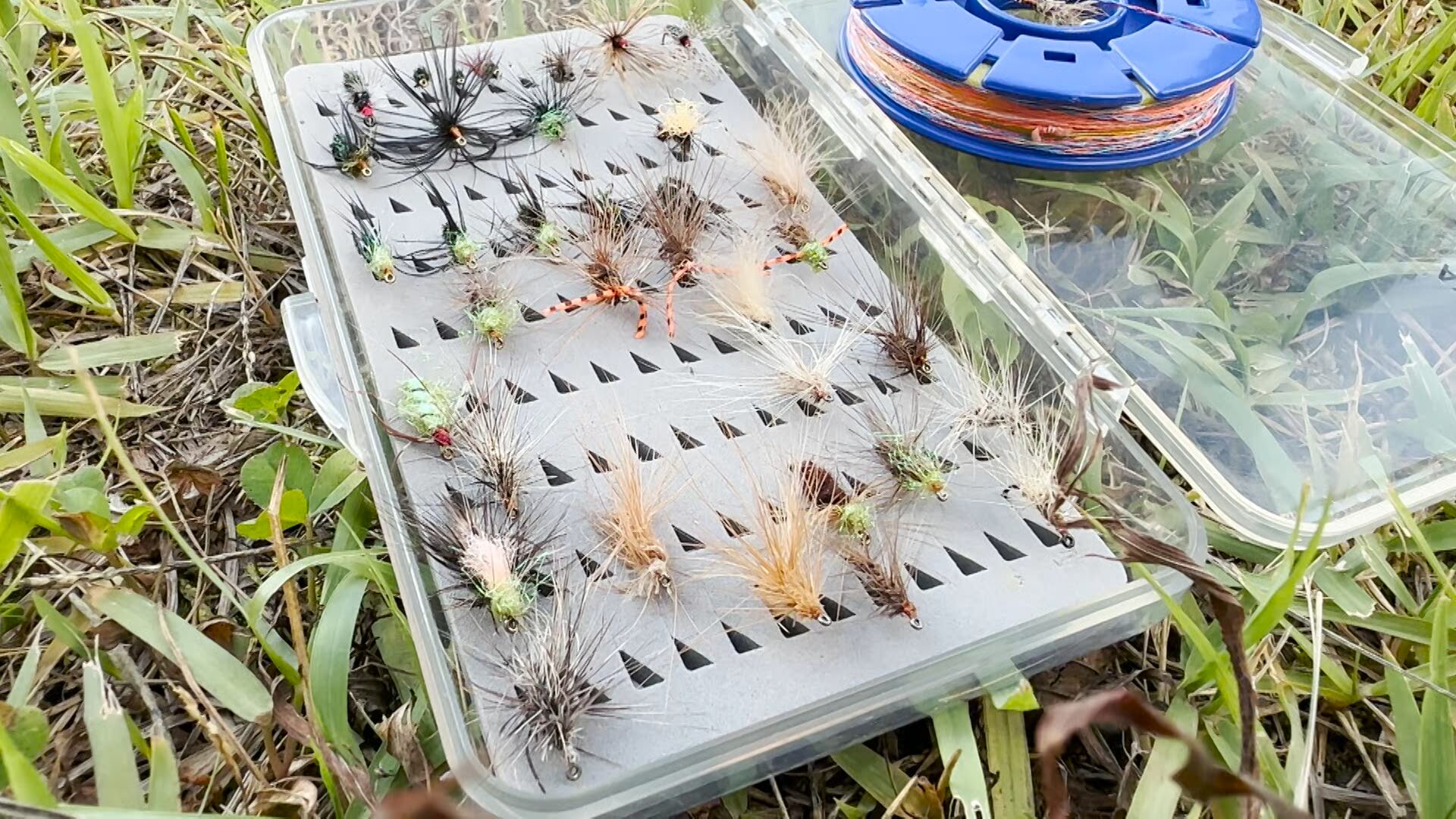 Tenkara Fishing Tour : Native Iwana & Yamame | WaWo Japan Tours